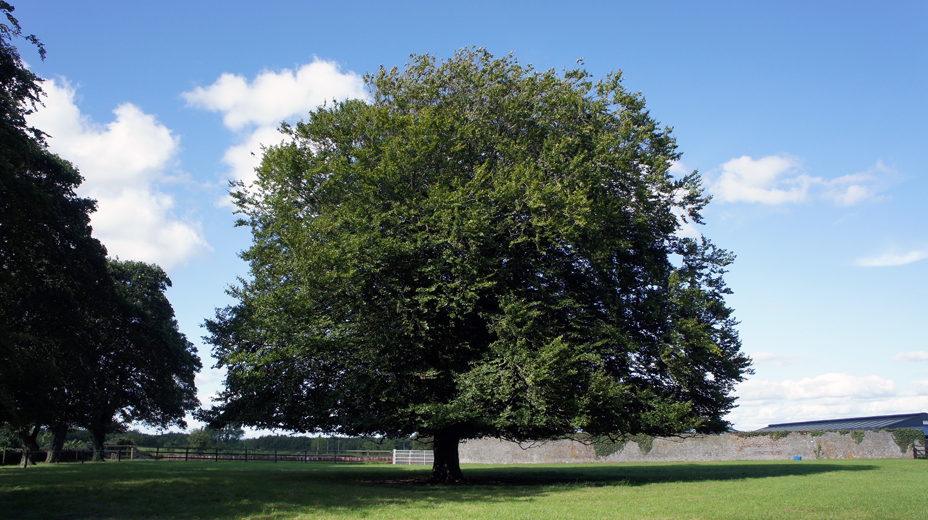 Bansha House, Bansha, Co. Tipperary